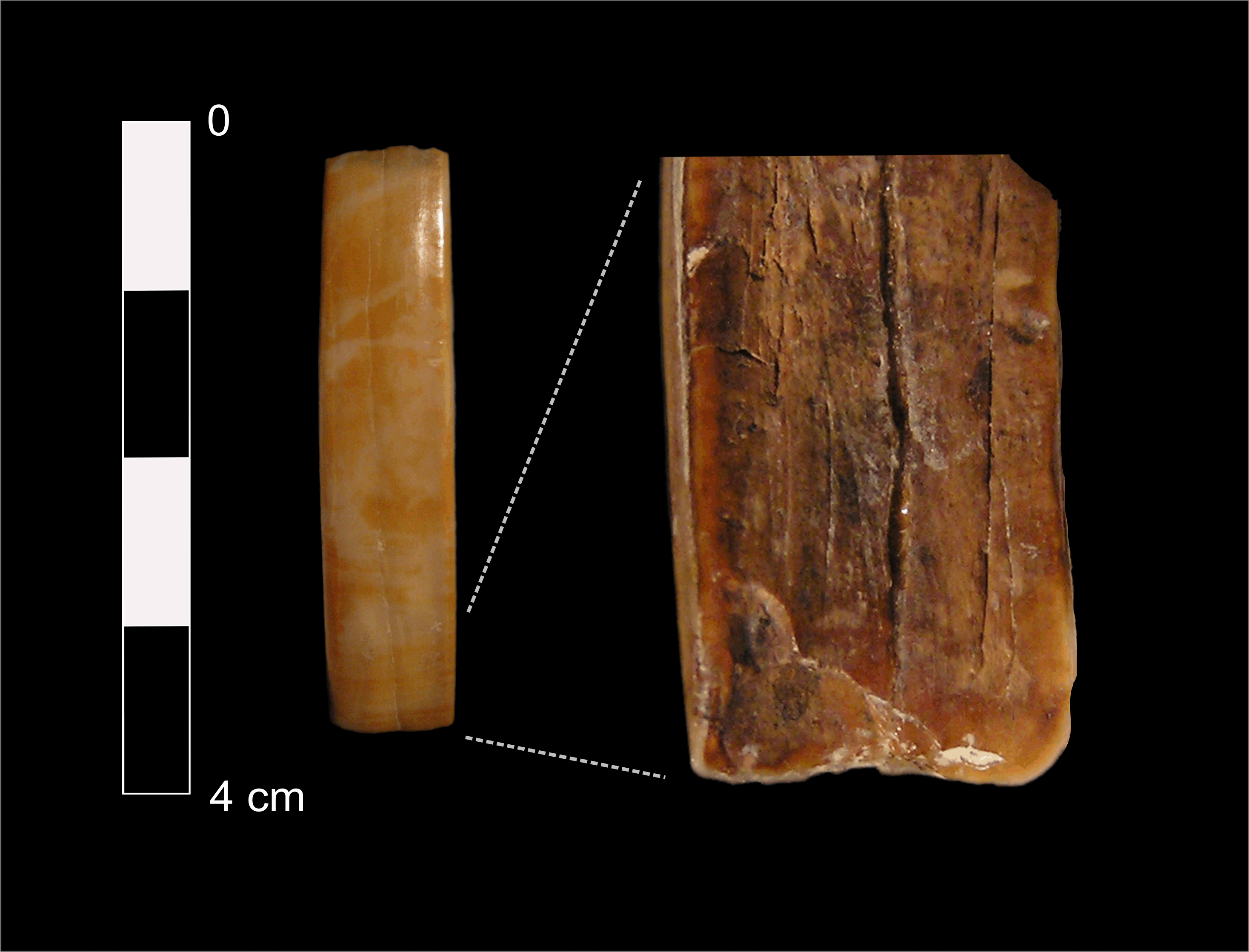 On the Deep Roots of Beaver and Human Relationships in Alberta ...