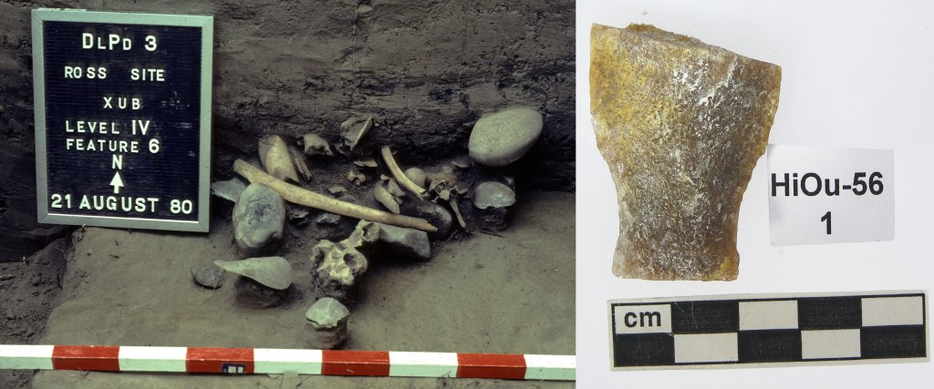 The Borden Number System: What the FcOq? – RETROactive