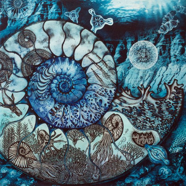 Rainbow Fossils and Bison Calling – RETROactive