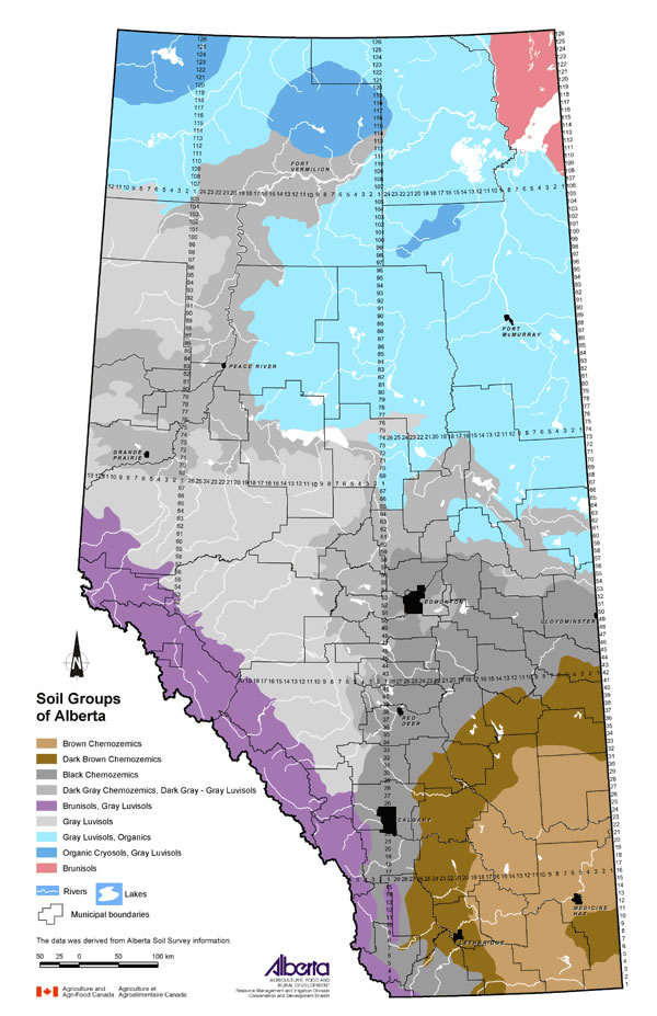 Plough your Furrows Deep: The Foundations of Agriculture in Alberta ...