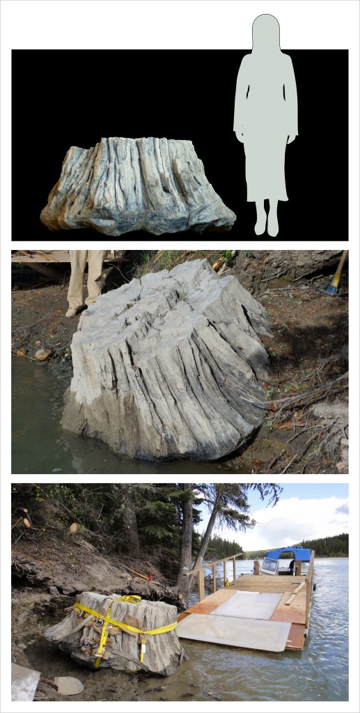 Petrified Wood: Preserving Alberta’s Natural and Human History ...