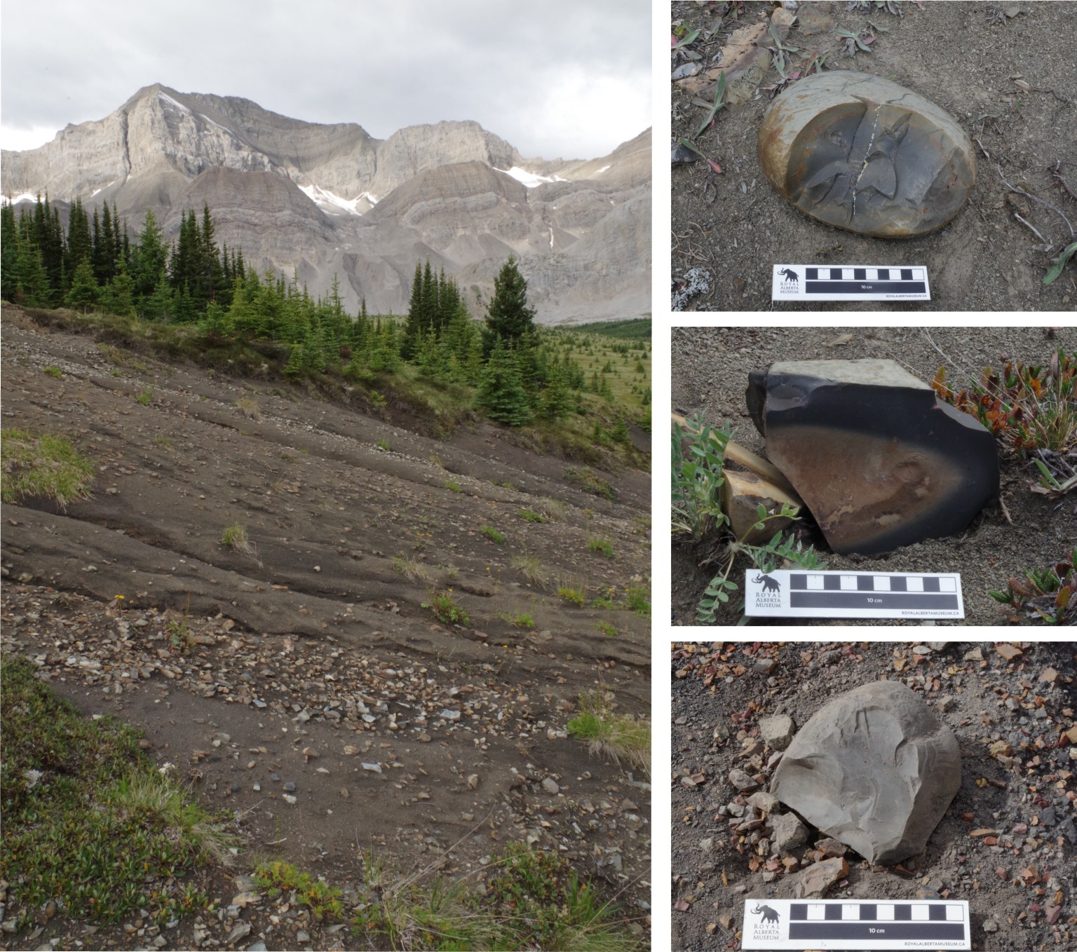 Alpine Archaeology and a Pre-contact Stone Quarry in Alberta’s Rocky ...
