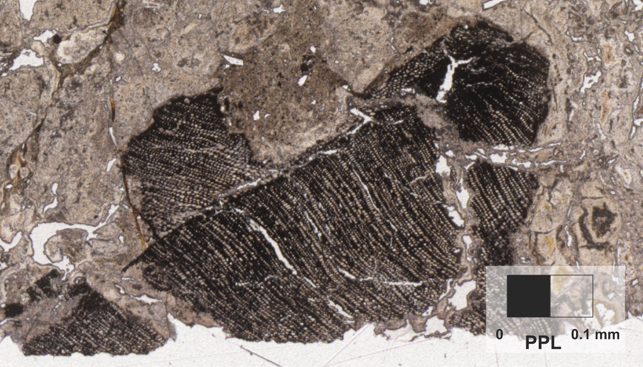 Archaeology through a different lens: Thin section analysis of lithic ...