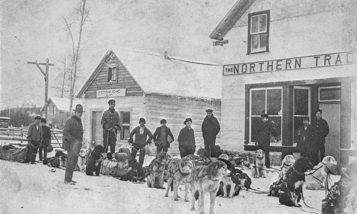 Dogs and horses through Alberta’s history – RETROactive