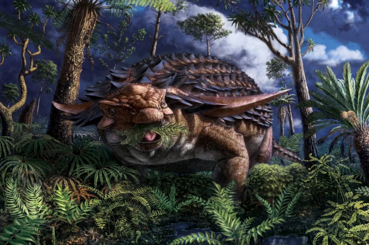 Borealopelta: A Selective Herbivore – RETROactive