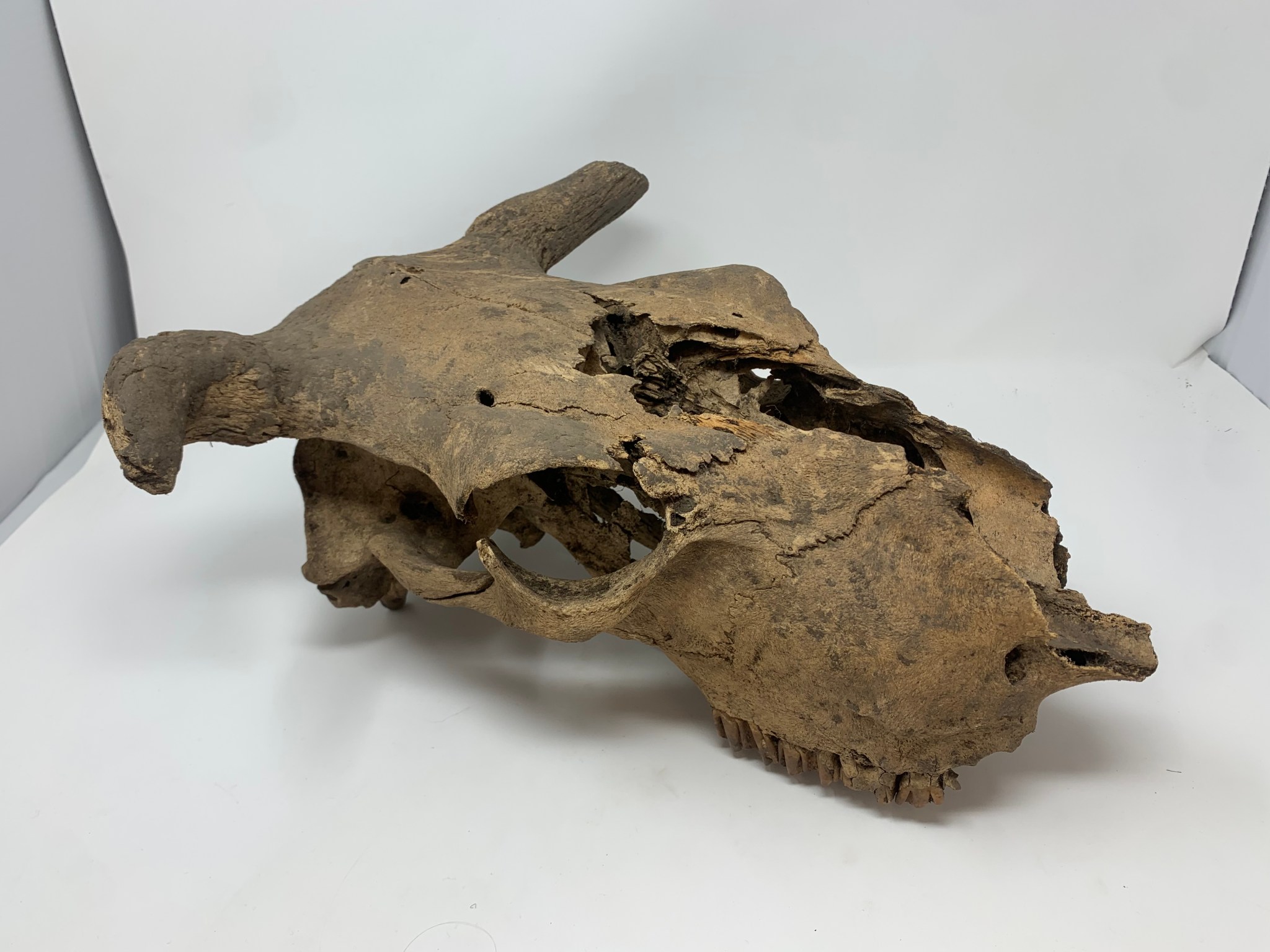 Who and where was John Ware? – RETROactive